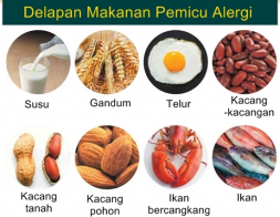 Artikel | Dokter Anakku